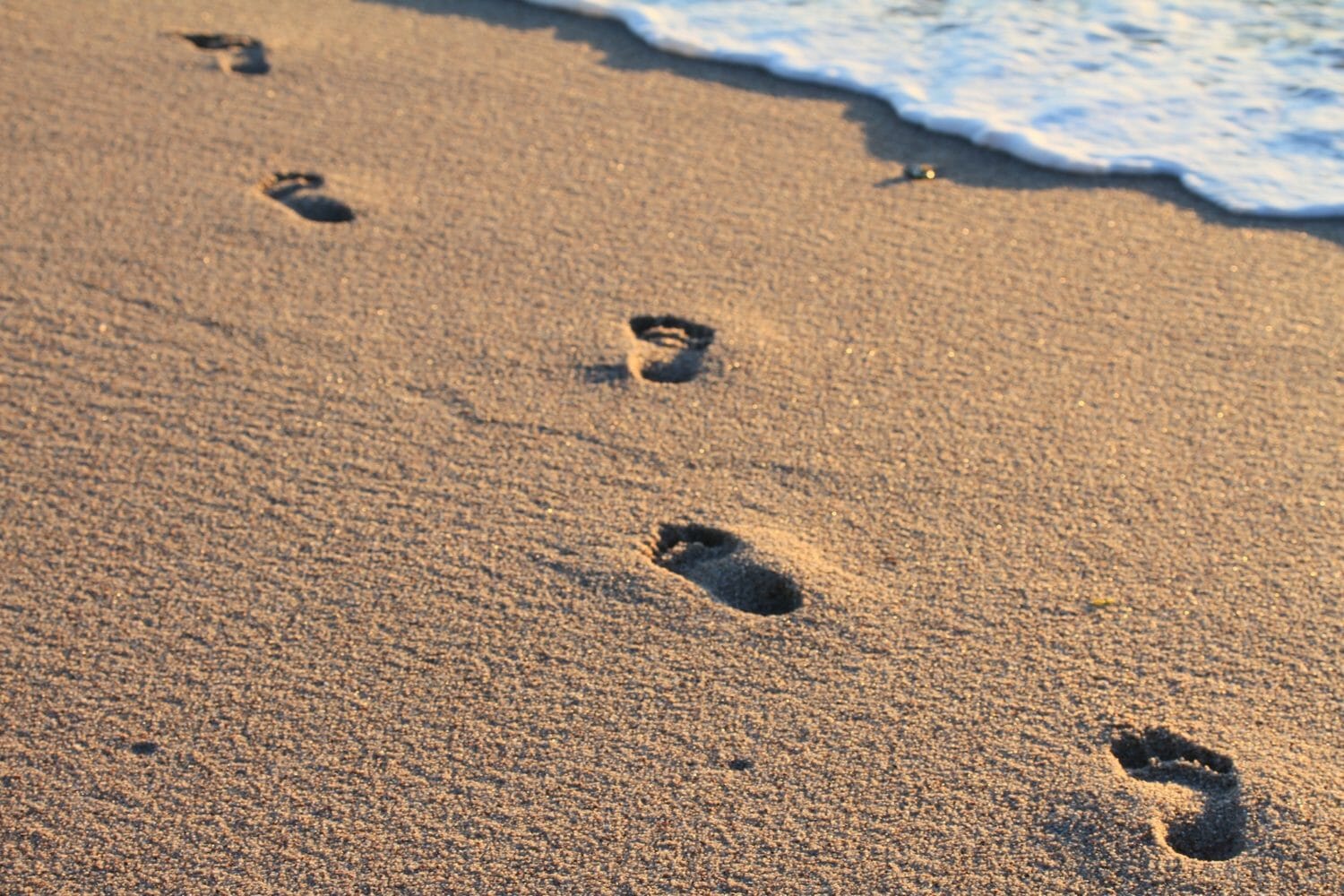 The Twelve Days of Christmas from Lake Eyre - Ratnieks